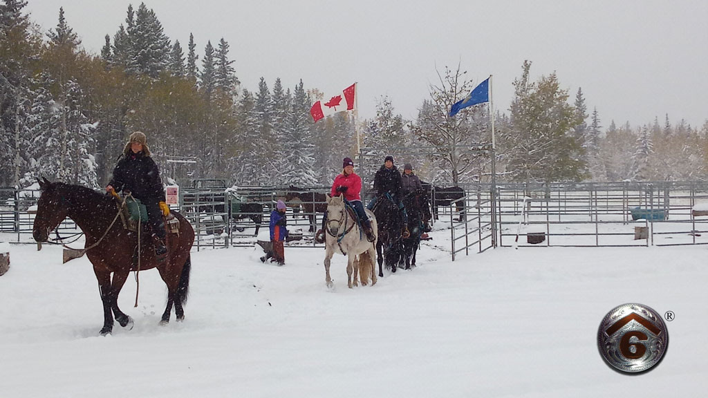 What's New ~ The Latest & Greatest Happenings At Cowley's Rafter Six ...