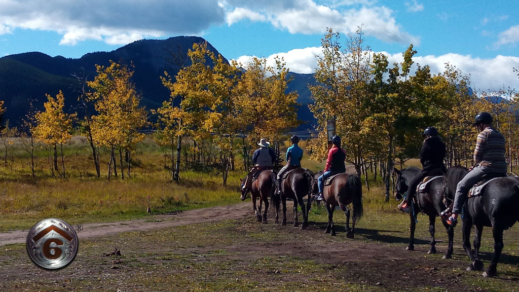 What's New ~ The Latest & Greatest Happenings At Cowley's Rafter Six ...