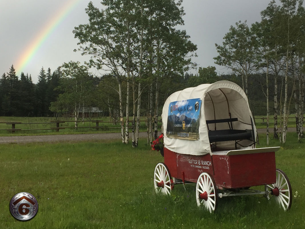 What's New ~ The Latest & Greatest Happenings At Cowley's Rafter Six ...